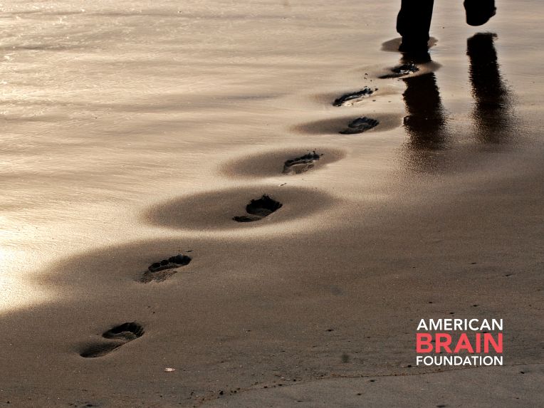 Brain Research Timeline: How Many Small Steps Eventually Lead to ...