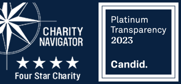 What Is Cerebral Small Vessel Disease (CSVD)? | American Brain Foundation